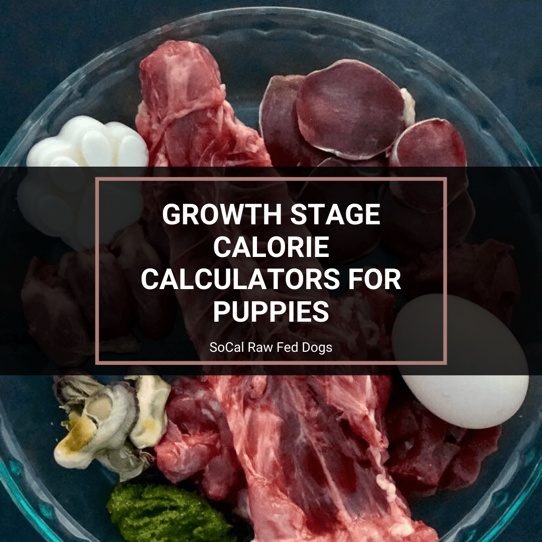 Calorie Calculators for Growth Stage (Puppies) - SoCal Raw Fed Dogs